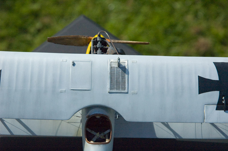 My Thing with Two Wings is finished - Ready for Inspection - Aircraft ...